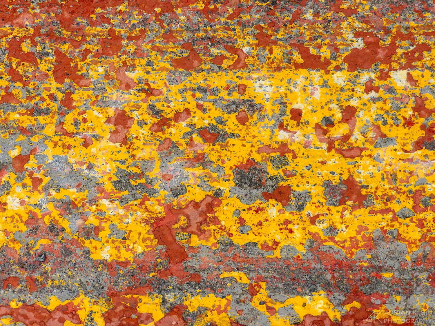 2023 Photography Rewind - Focus On Health | Adrian Klein Photography ...