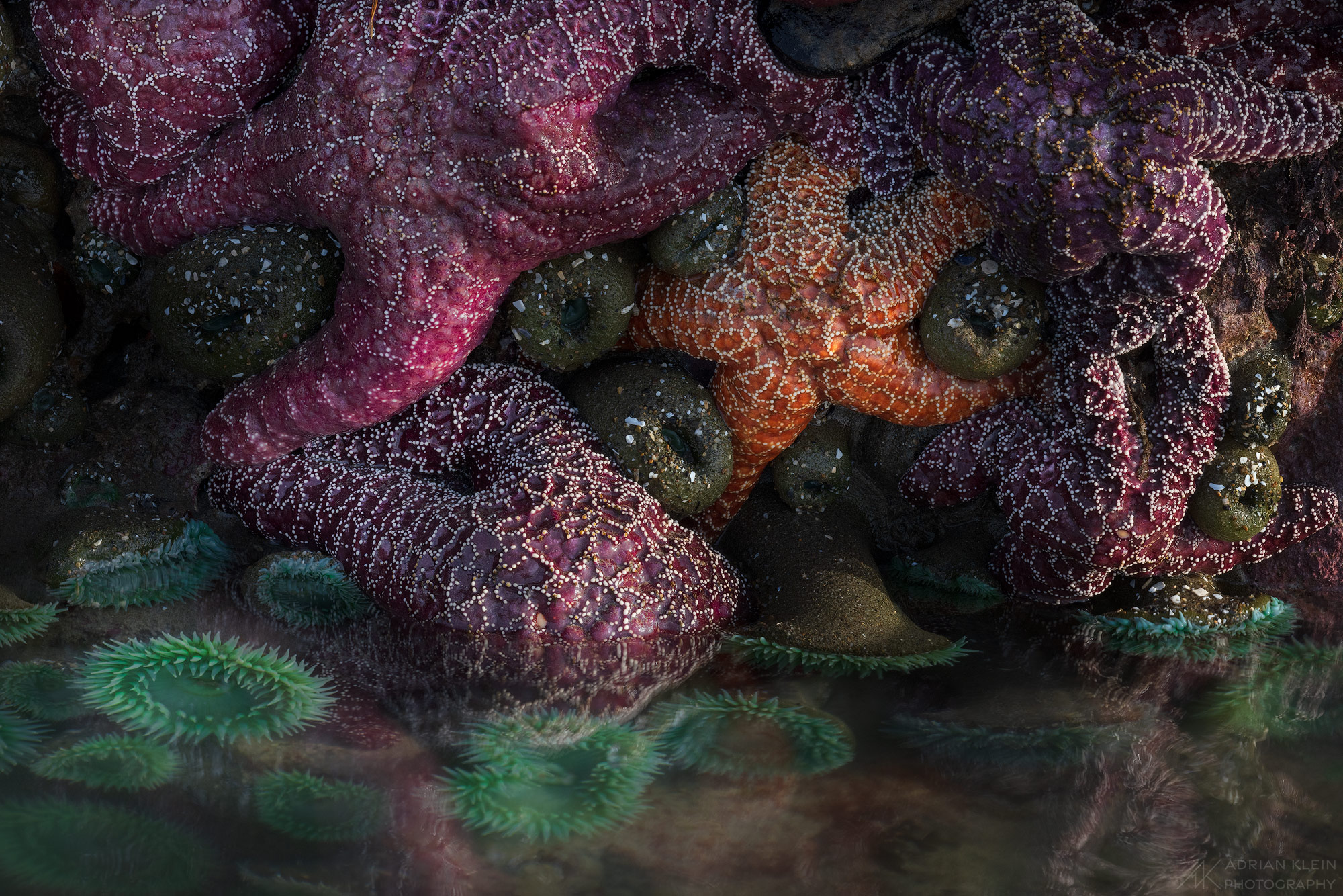 2024 Photography Rewind | Adrian Klein Photography Landscape and Nature