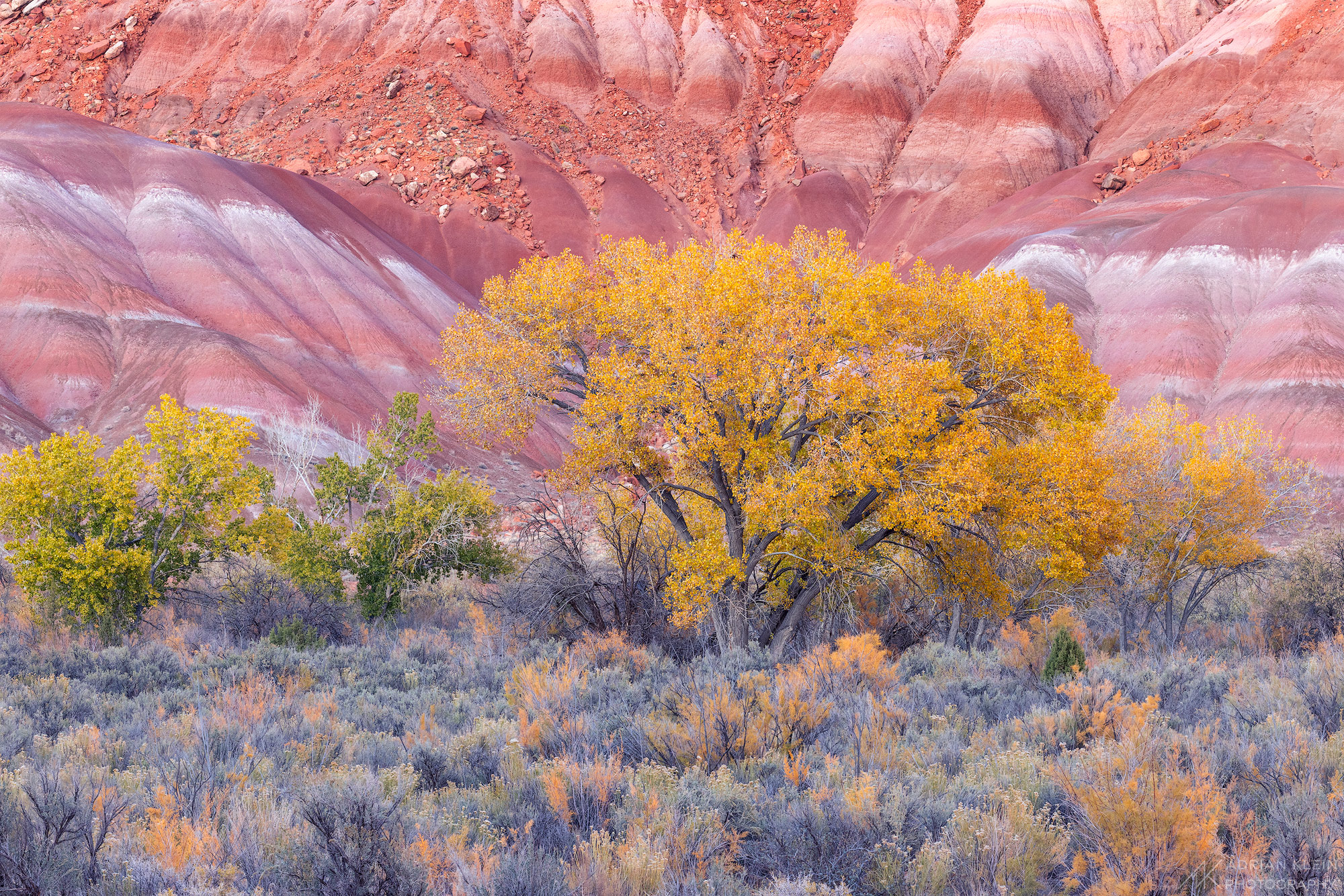 Colors of Escalante Workshop - Nov 4-8, 2025 | Adrian Klein Photography ...