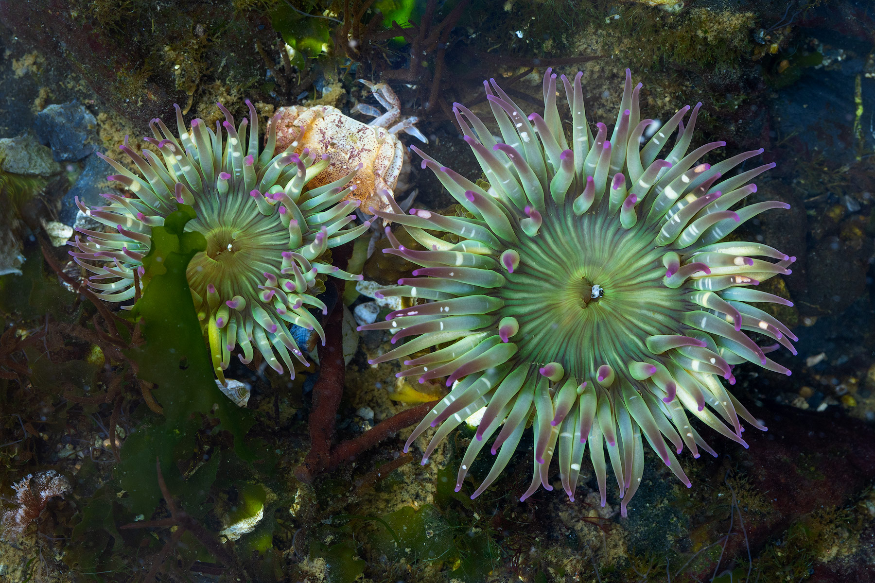 Whidbey Island - Small Scenes and Abstracts - September 18-21, 2026 ...